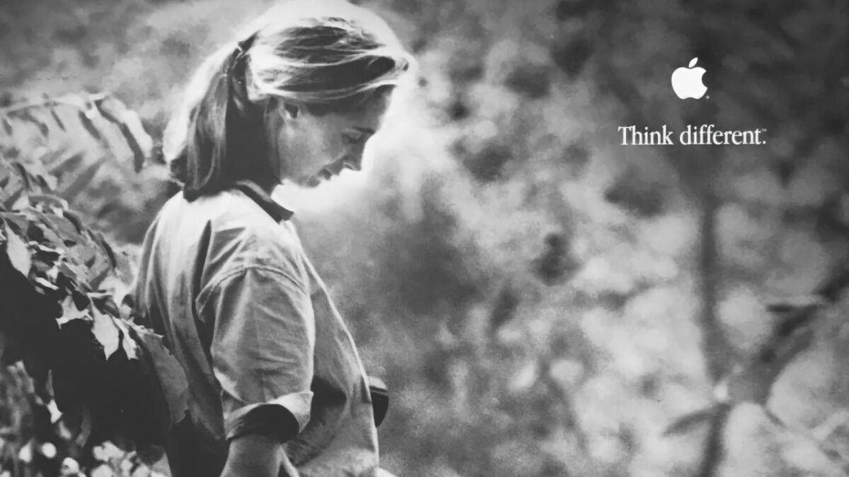 Jane Goodall tiene una última colaboración con Apple | Uco Digital